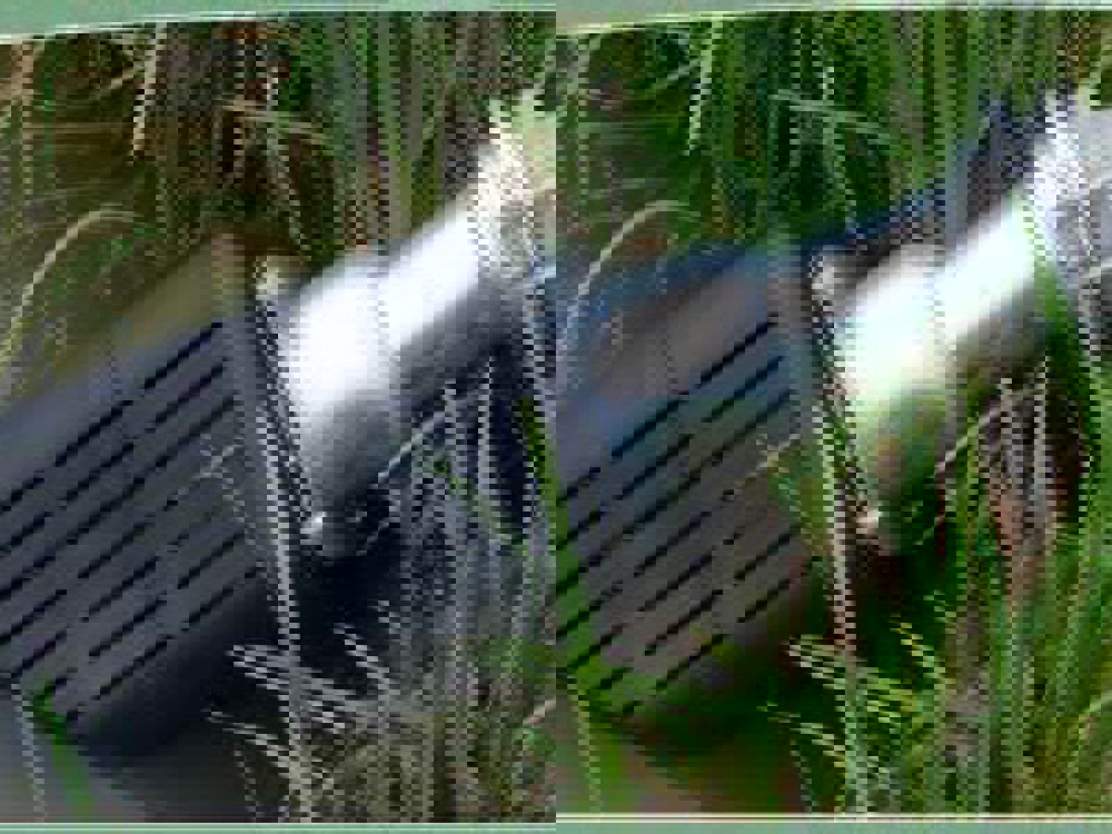 Irrigation Baskets | Techneat Engineering